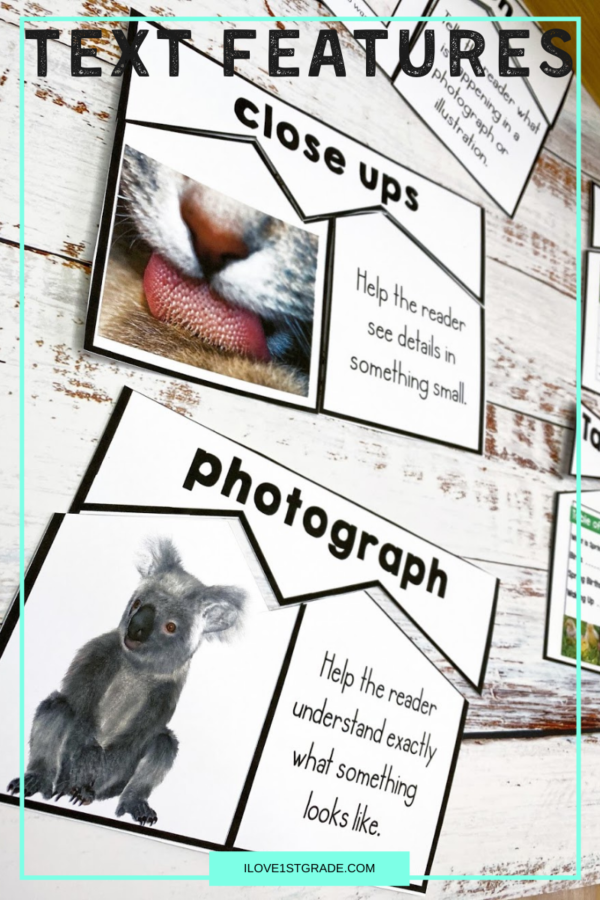 Tips for Teaching Nonfiction Text Features to First Graders - I Love ...
