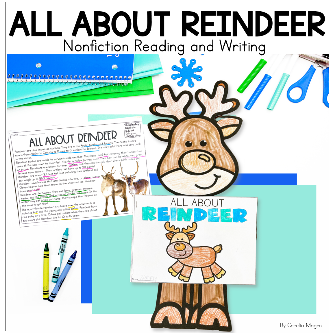 Reindeer Nonfiction Reading Informative Writing and Craft - I Love 1st ...